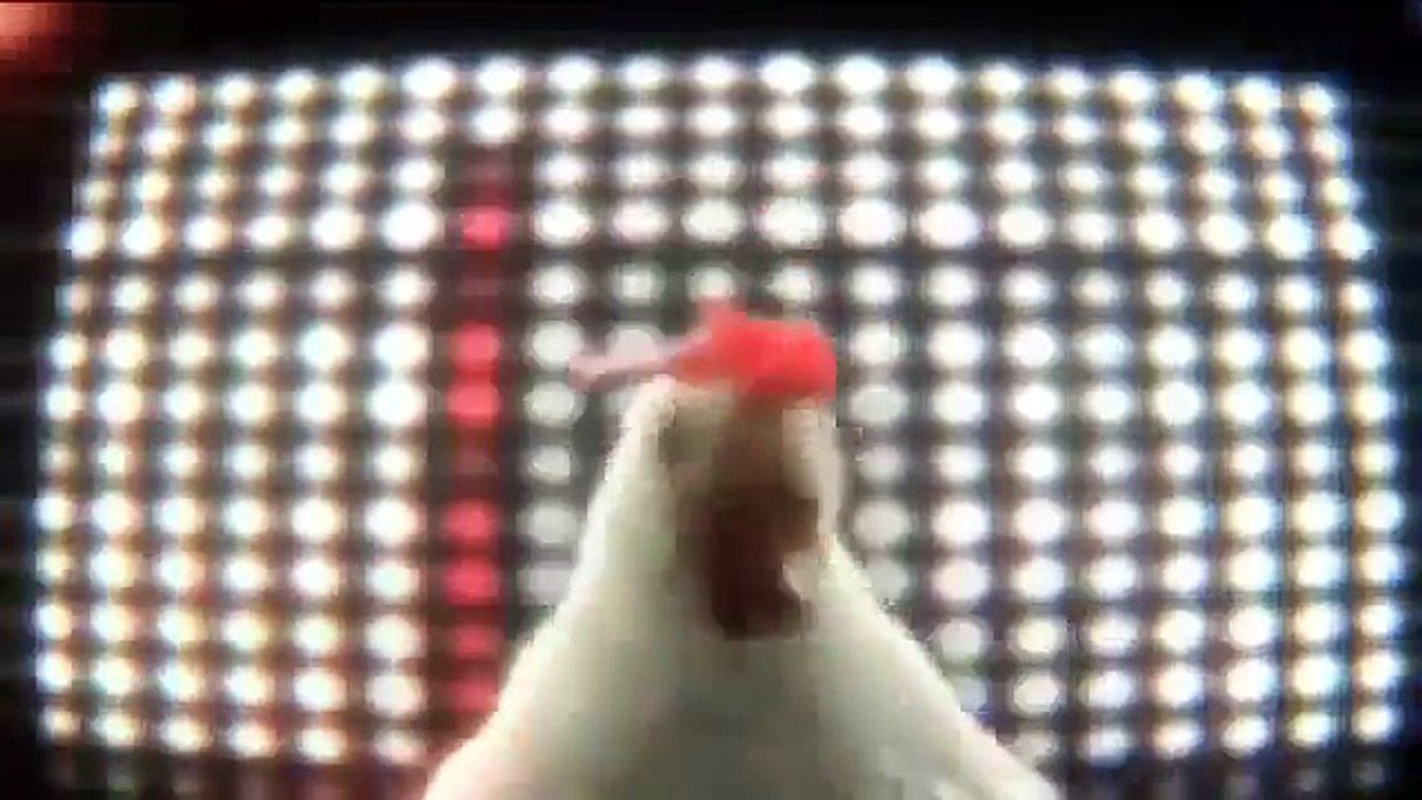 Chicken Song - Official Video - video Dailymotion