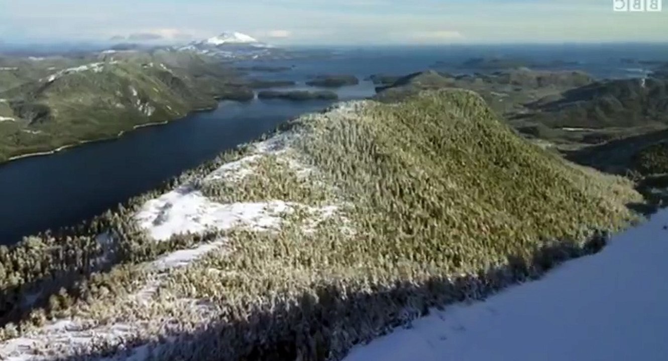 Nature 039 s Great Events S01 E06 The Great Feast - Part 03 ...