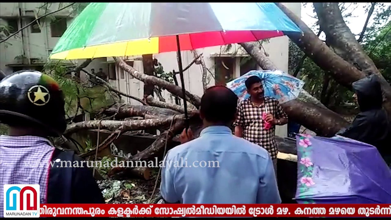 Thiruvananthapuram collector K. Vasuki - video Dailymotion