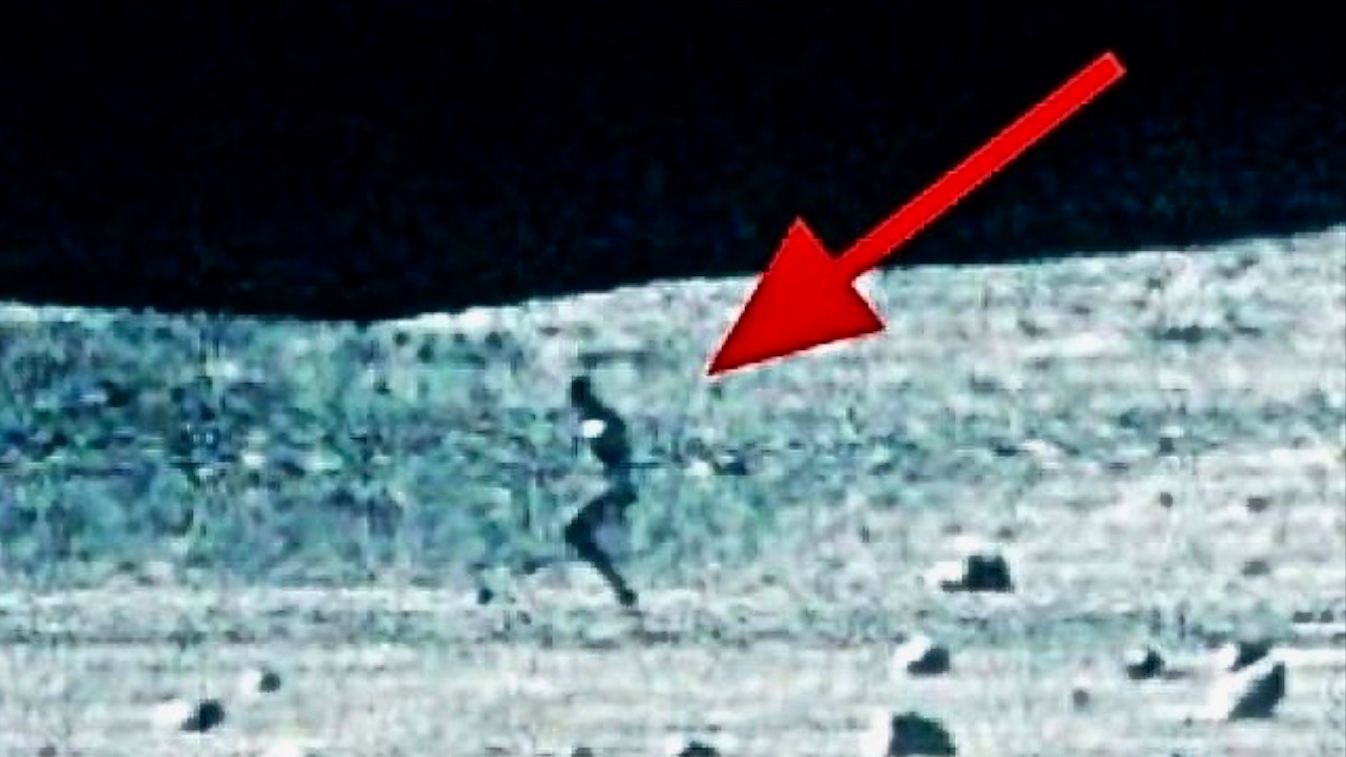 Alien Caught By Nasa