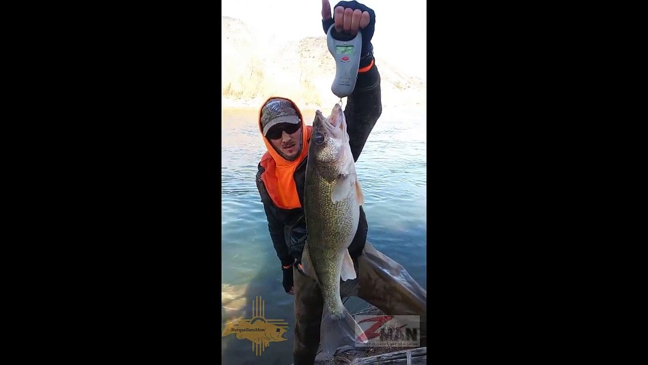14 Lb Walleye Caught on ZMan Product - video Dailymotion