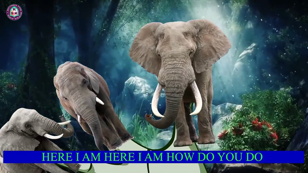 Elephant For Kids Finger Family Rhymes | Elephant Finger Family ...