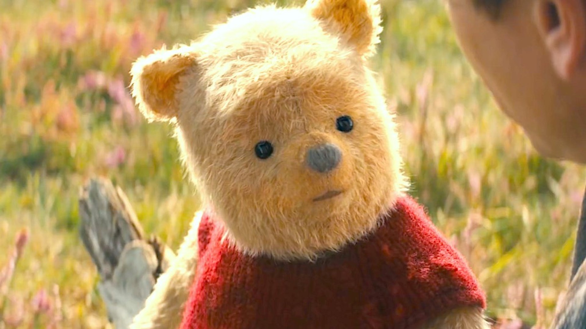 From Christopher Robin Winnie The Pooh
