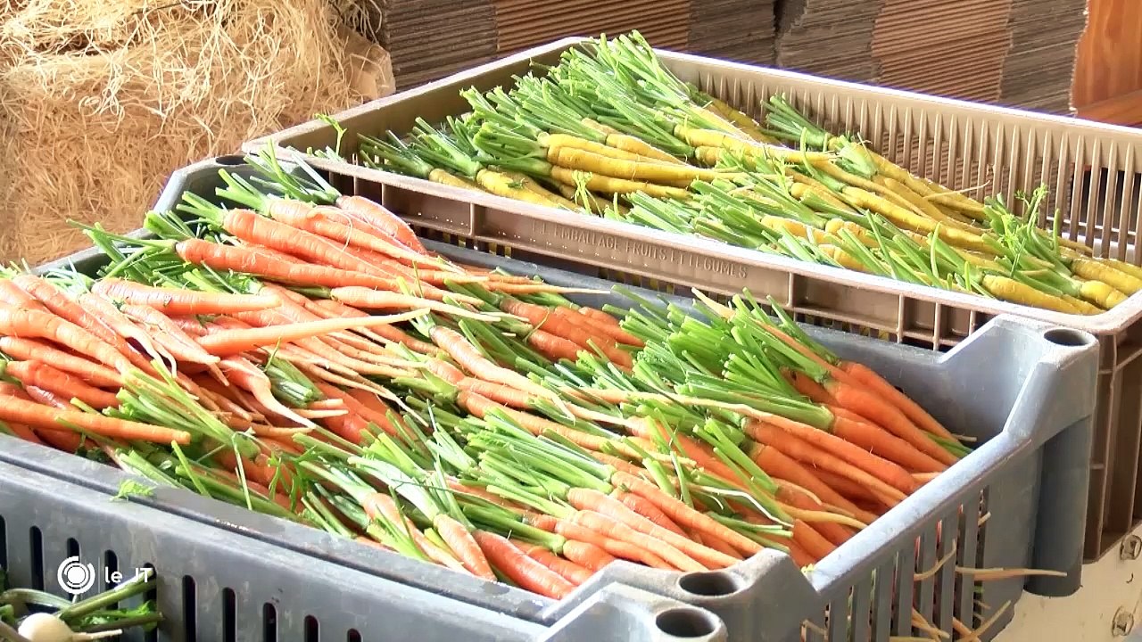 GASTRONOMIE / La folie des mini-légumes - 14/08/2018 - Vidéo Dailymotion