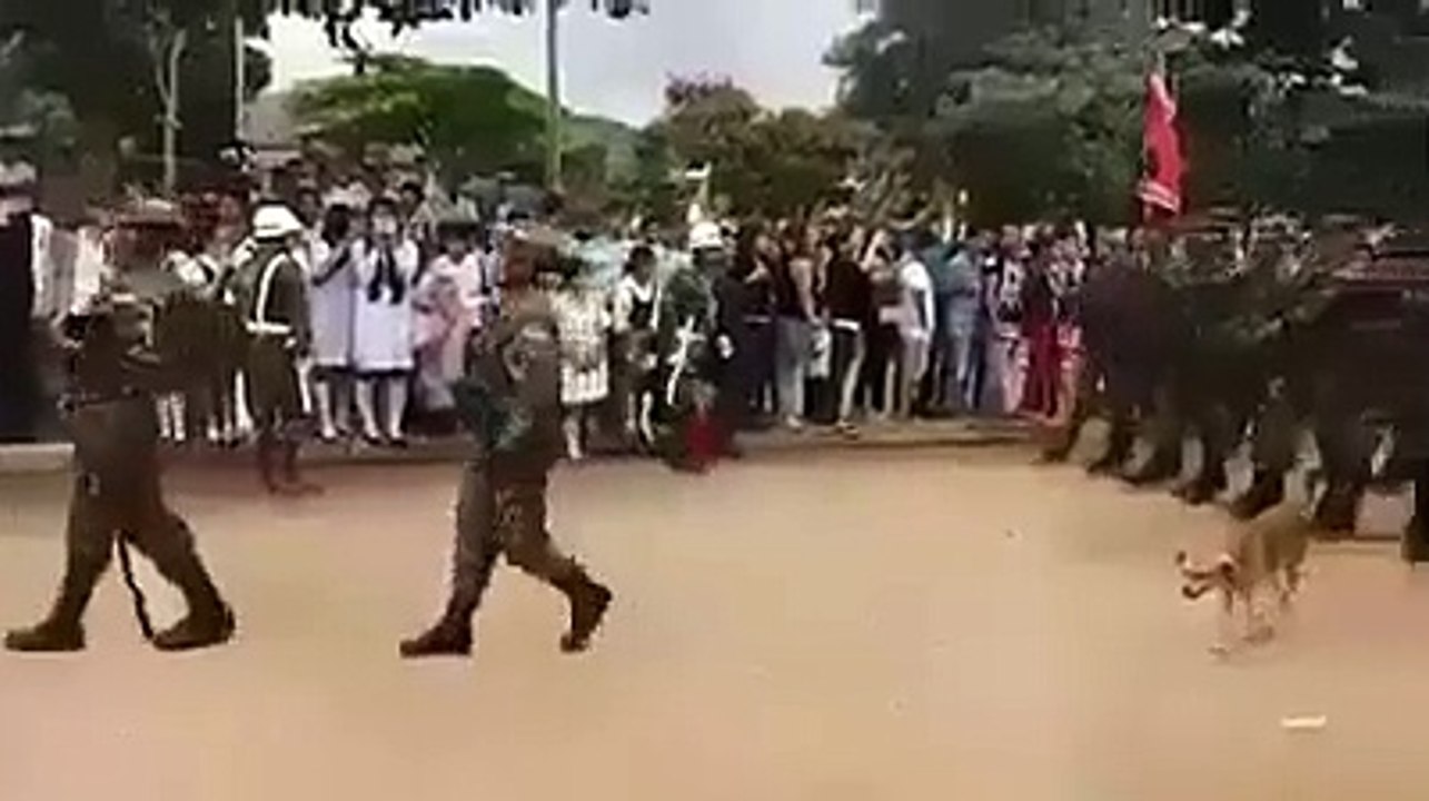 Funny Parade - Oops Fail Videos , HD tv series comedy cinema cartoons ...