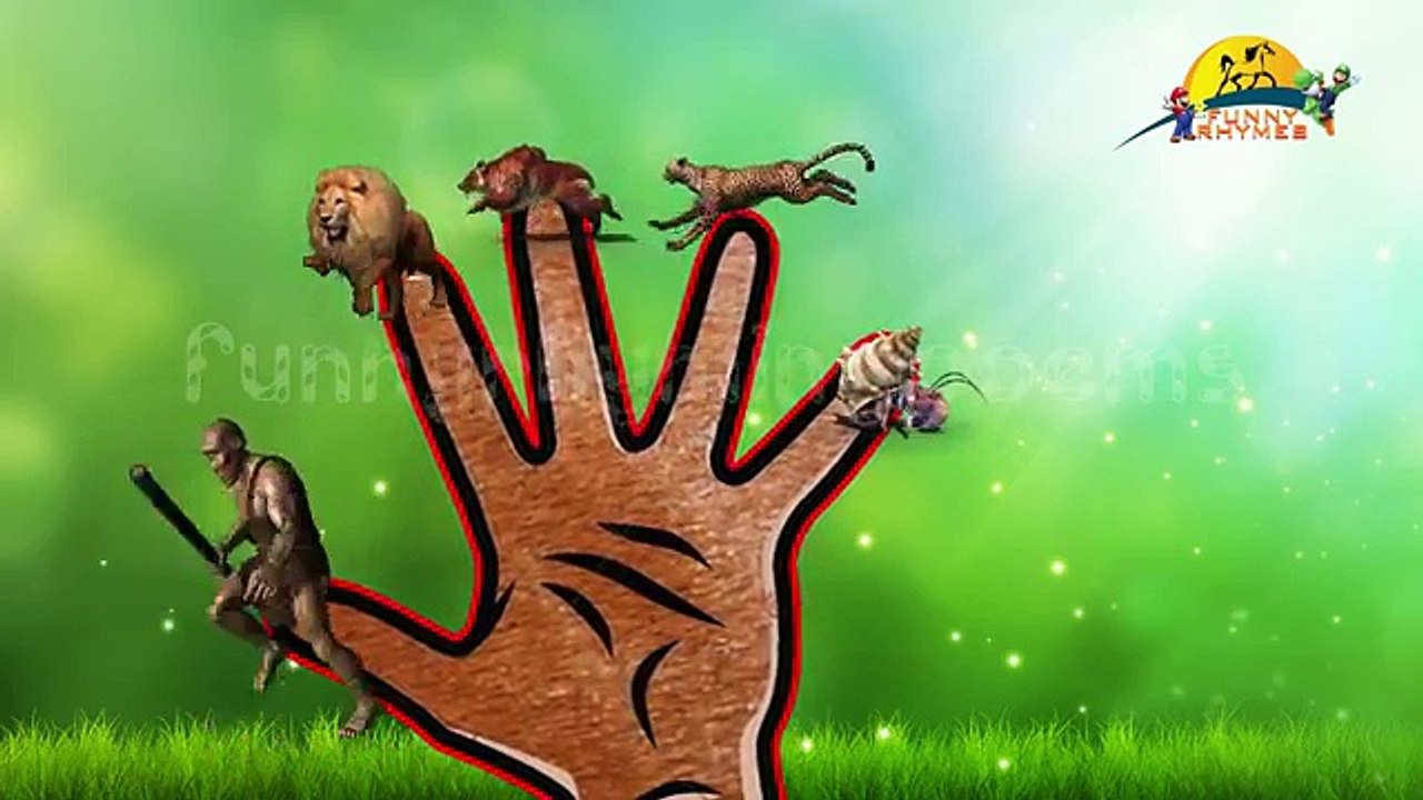 3d Funny Cartoon Animals Finger Family Children Rhyme | Lion,Tiger ...