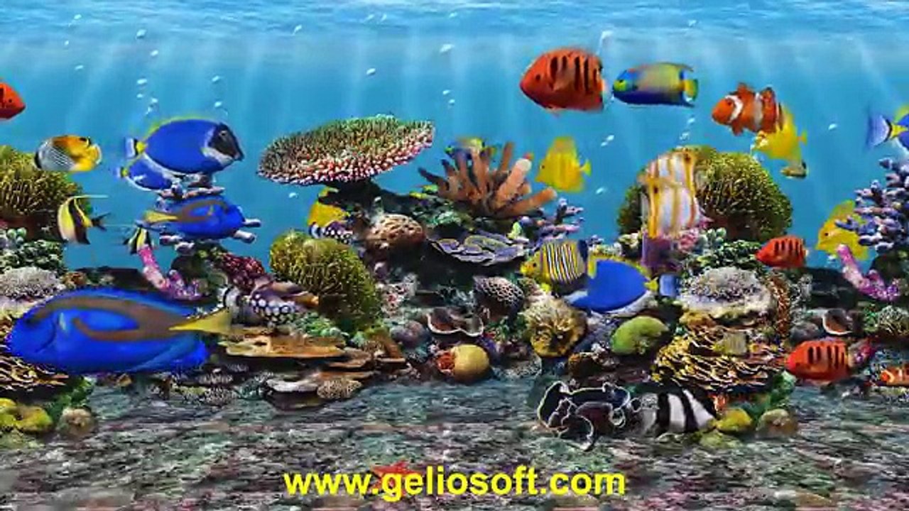 3D Fish School Aquarium Screensaver Tropical Fish Tank for Windows HD ...