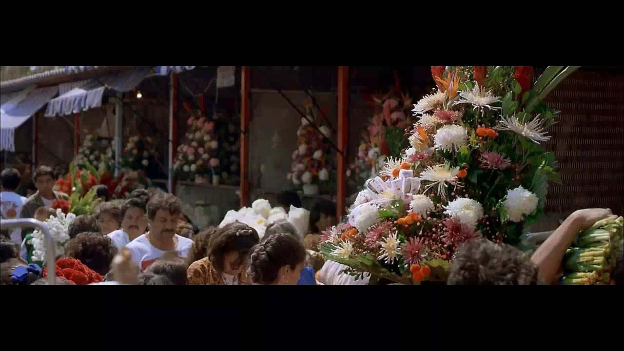 IMAX Amazing Journeys 1999 - Vídeo Dailymotion