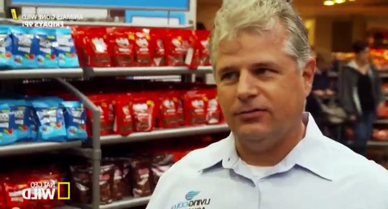 Fish Tank Kings S03 - Ep08 HD Watch - Dailymotion Video