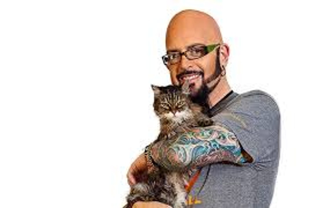 EL ENCANTADOR DE GATOS,CAPITULO Mi gato endemoniado,Gato traumatizado ...