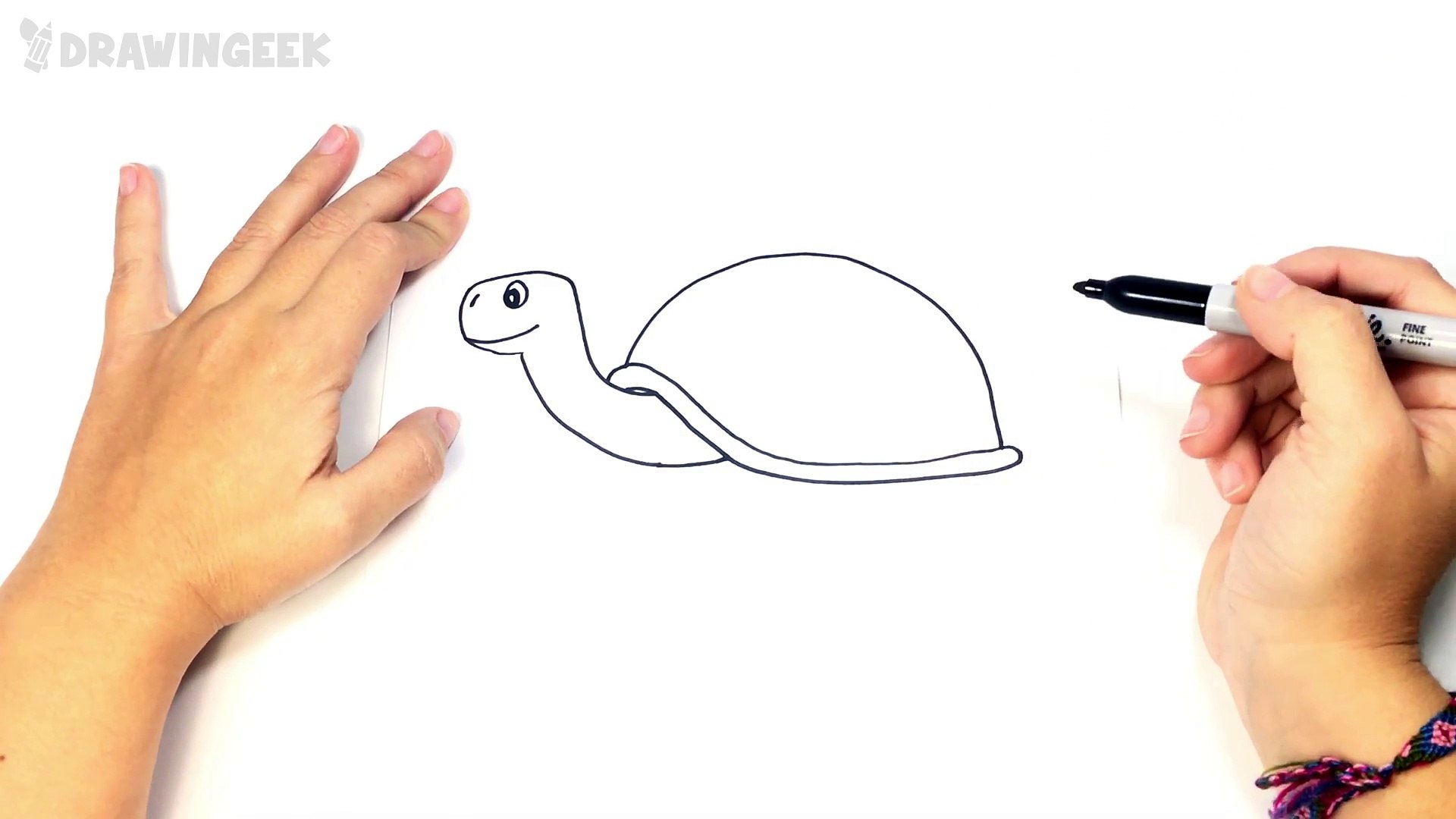 How To Draw Tortoise