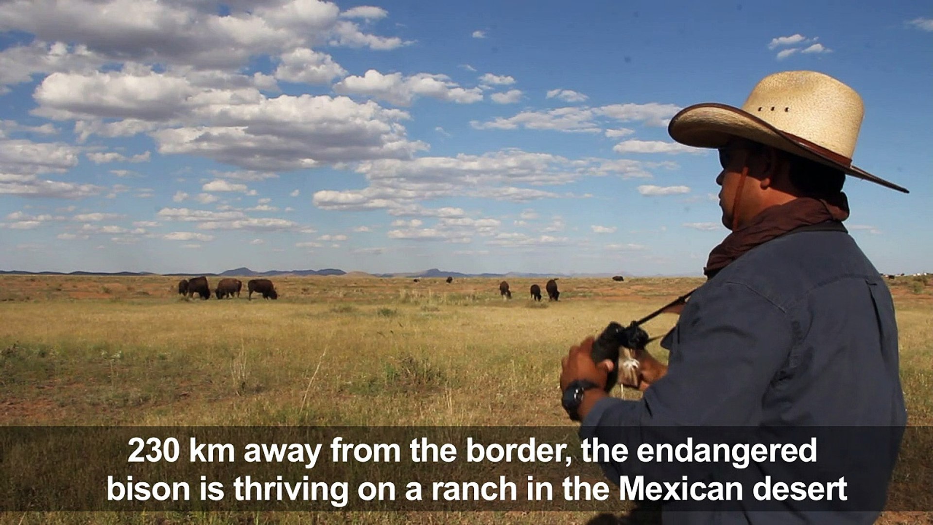 Mexican Ranch Wallpaper