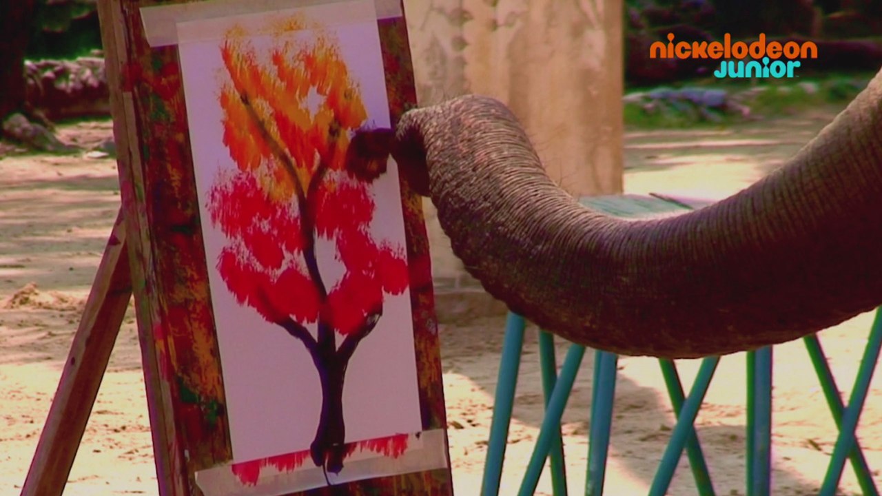 Zoofari | Le grand concours de talents | NICKELODEON JUNIOR - Vidéo ...