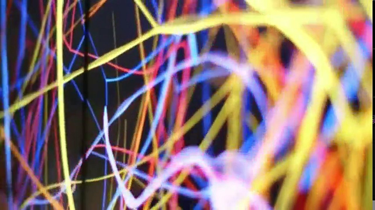The Brain With Dr. David Eagleman S01 - Ep01 What Is Reality - Part 01 ...