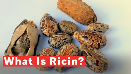 What Is Ricin? - video dailymotion