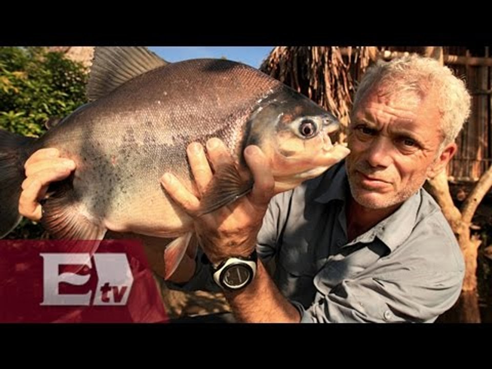 'Monstruos del río' vuelve con nueva temporada y con más criaturas ...