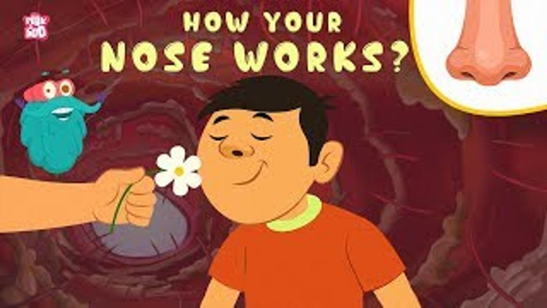 Parts Of The Nose For Kids Learn English Parts Of The Face | Body