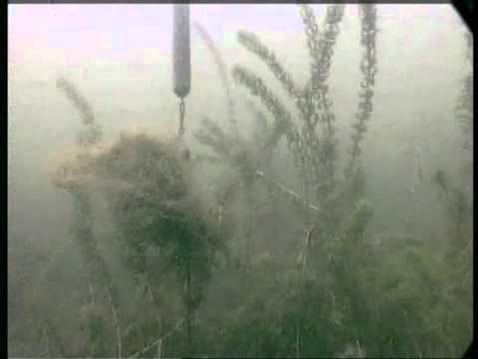 MARKER FLOAT IN SHALLOW WATER - video Dailymotion