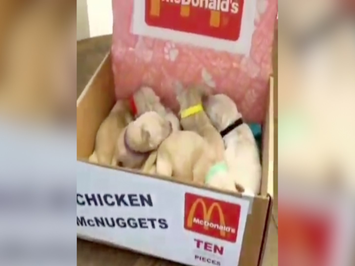 Are Chicken Nuggets Good For Dogs