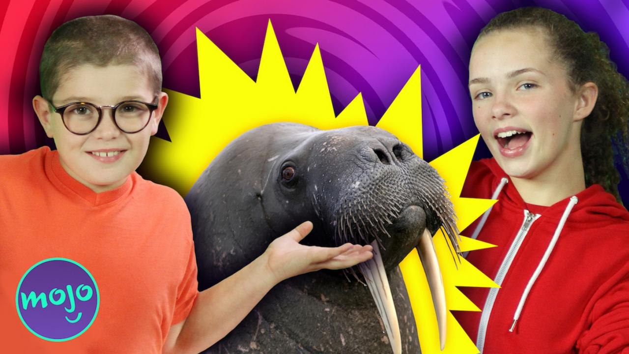 Kids read WEIRD Beatles Lyrics - video Dailymotion