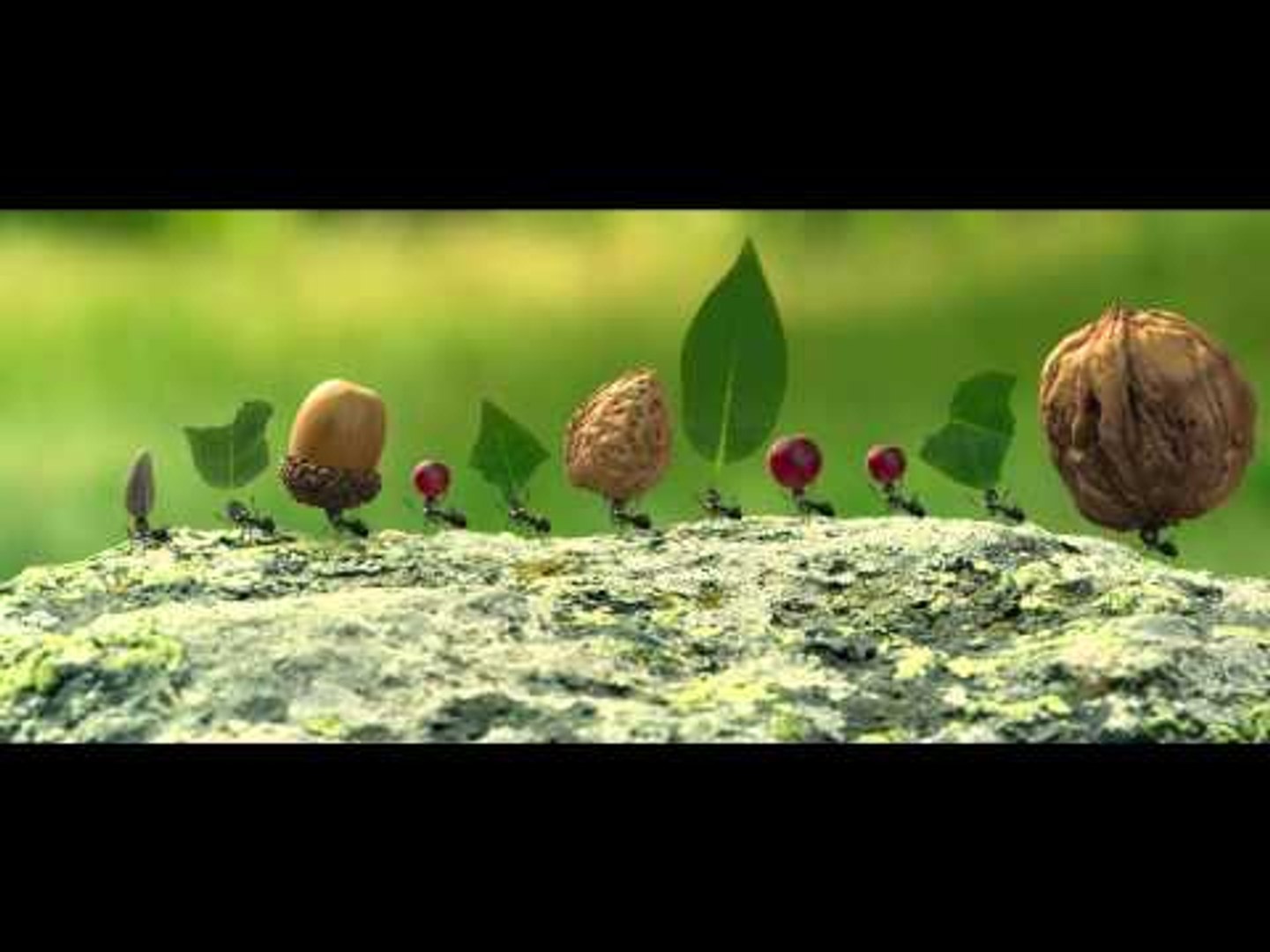 Minuscule Valley Of The Lost Ants Coloring Ant Minuscule La Vallée