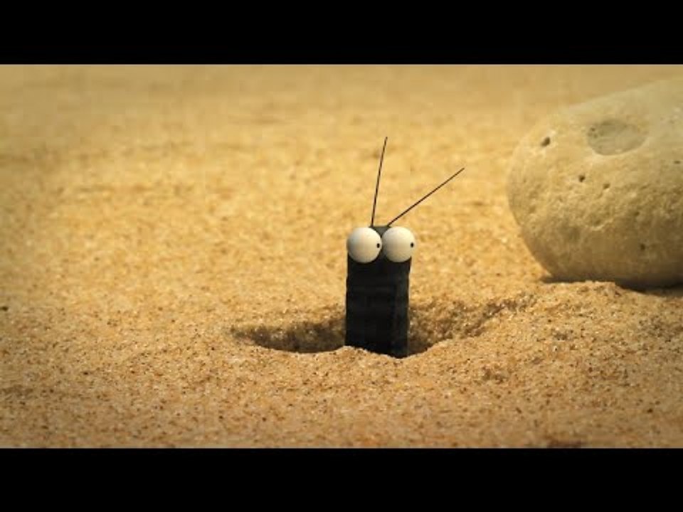 Minuscule - Season 2 (30 minutes Compilation) #5 - video Dailymotion