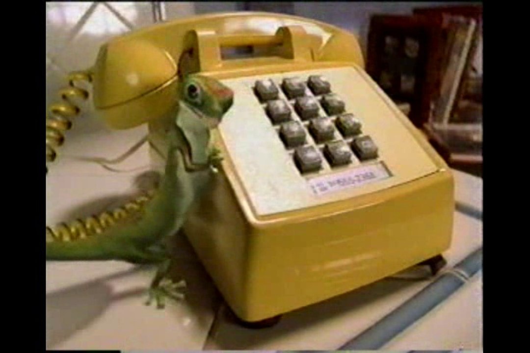 2000 Geico TV Ad (w/original voice?) - video Dailymotion