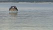PBS Nova - Lost at Sea - The Search for Longitude (1998) - video ...