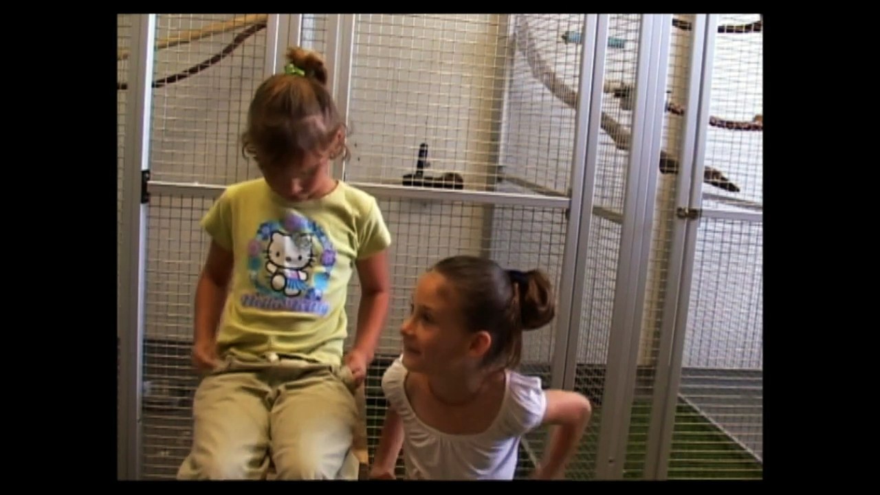 Skunked TV Episode 1 - video Dailymotion