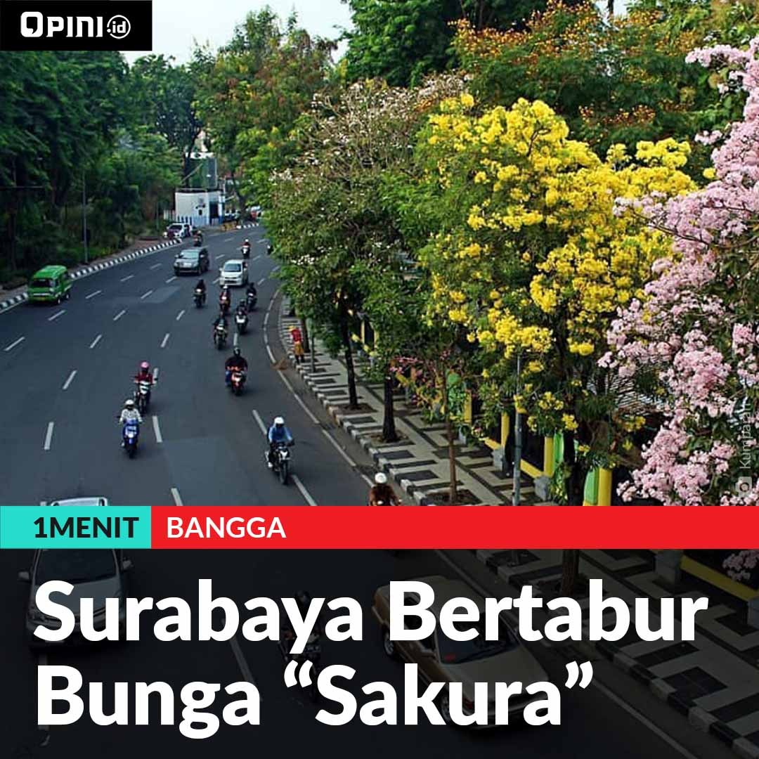 32+ Gambar Bunga Sakura Di Surabaya - Gambar Bunga Indah