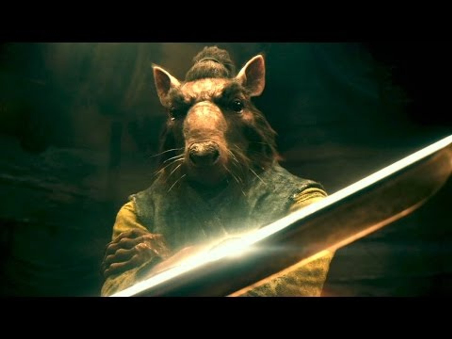 Teenage Mutant Ninja Turtles Splinter 2014 Teenage Mutant Ninja