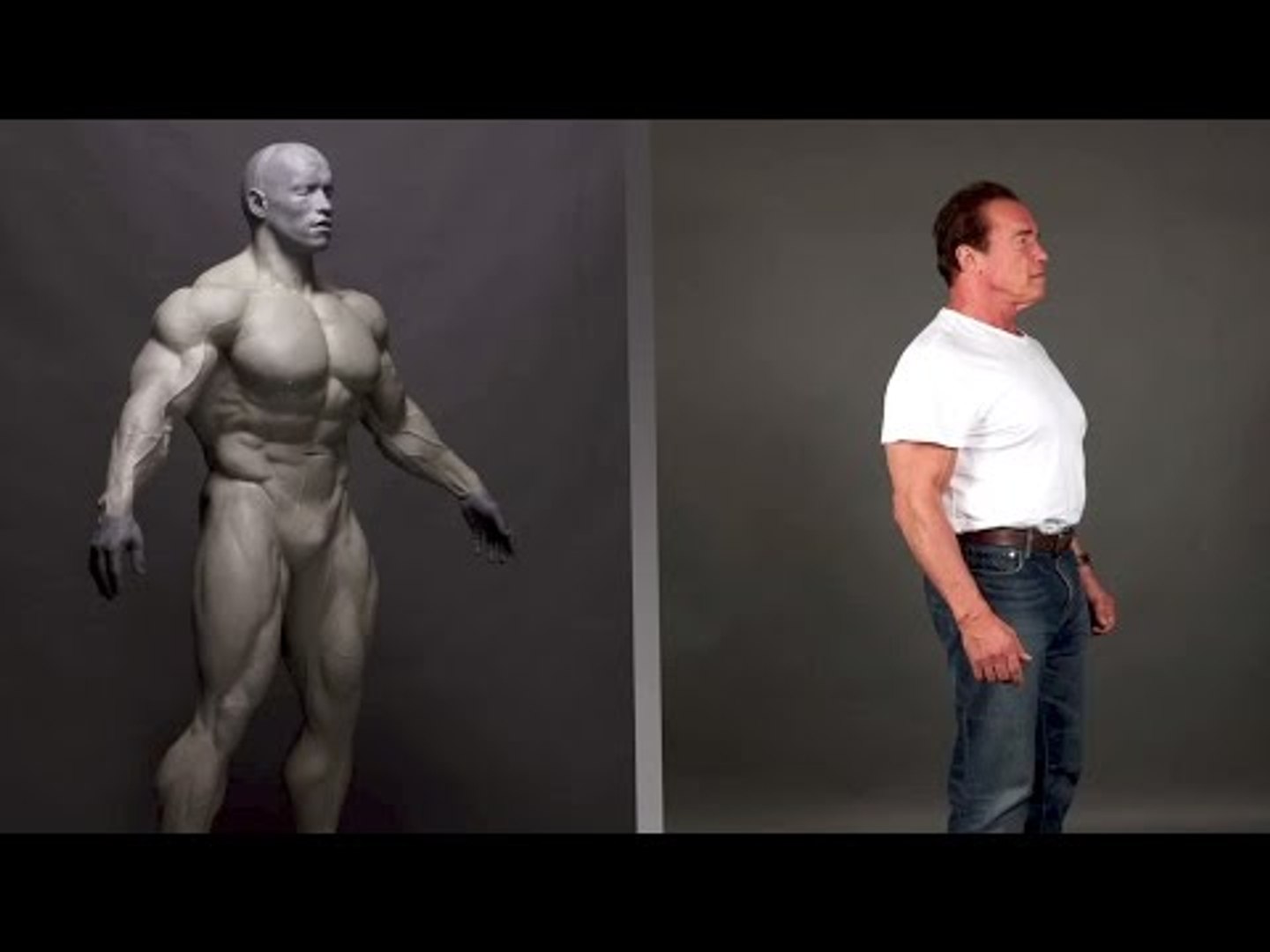 Terminator 5 Arnold Body