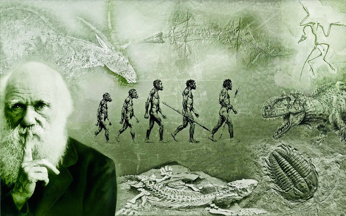 Evolution - What Darwin Never Knew - NOVA Full Documentary - video ...