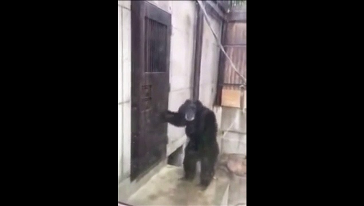 Lorsque les toilettes sont occupées et qu'on a très très (très) envie ...