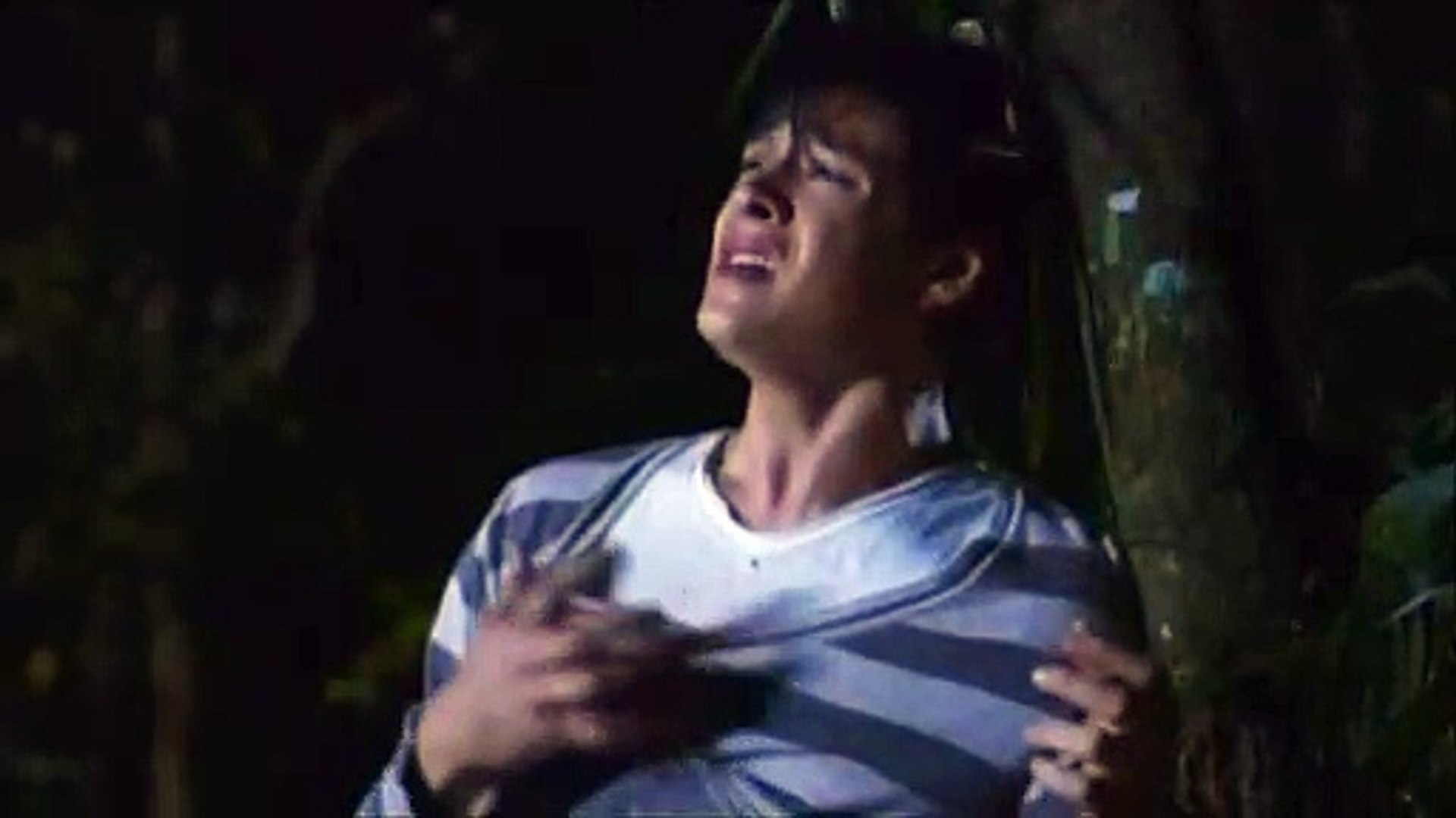 Female Werewolf Transformation Videos