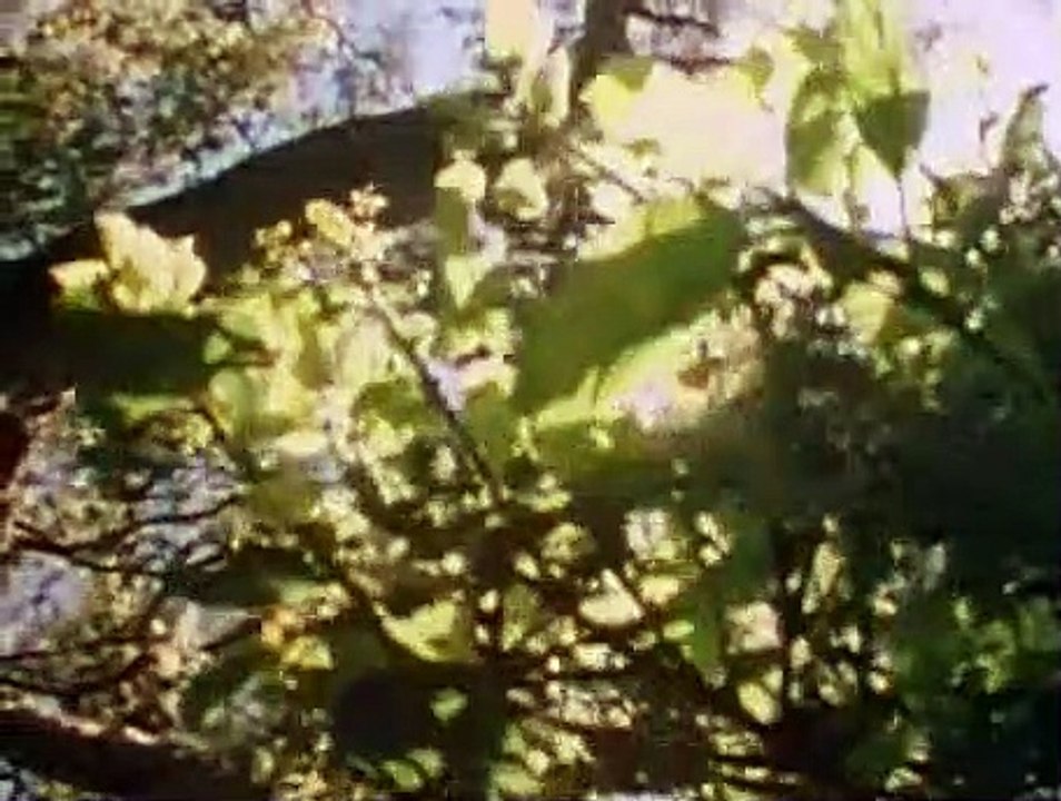 Cosmos Season 1 Episode 4 - Heaven and Hell - video Dailymotion