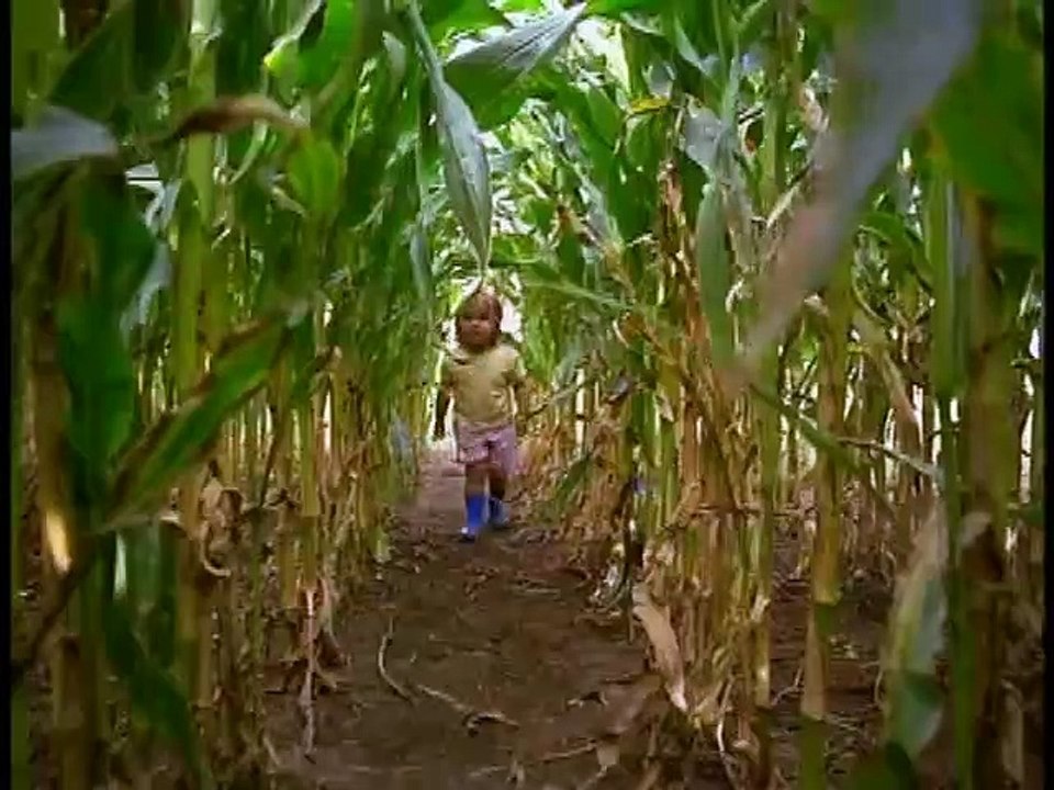 Baby Einstein - Baby MacDonald_ A Day on the Farm - video Dailymotion
