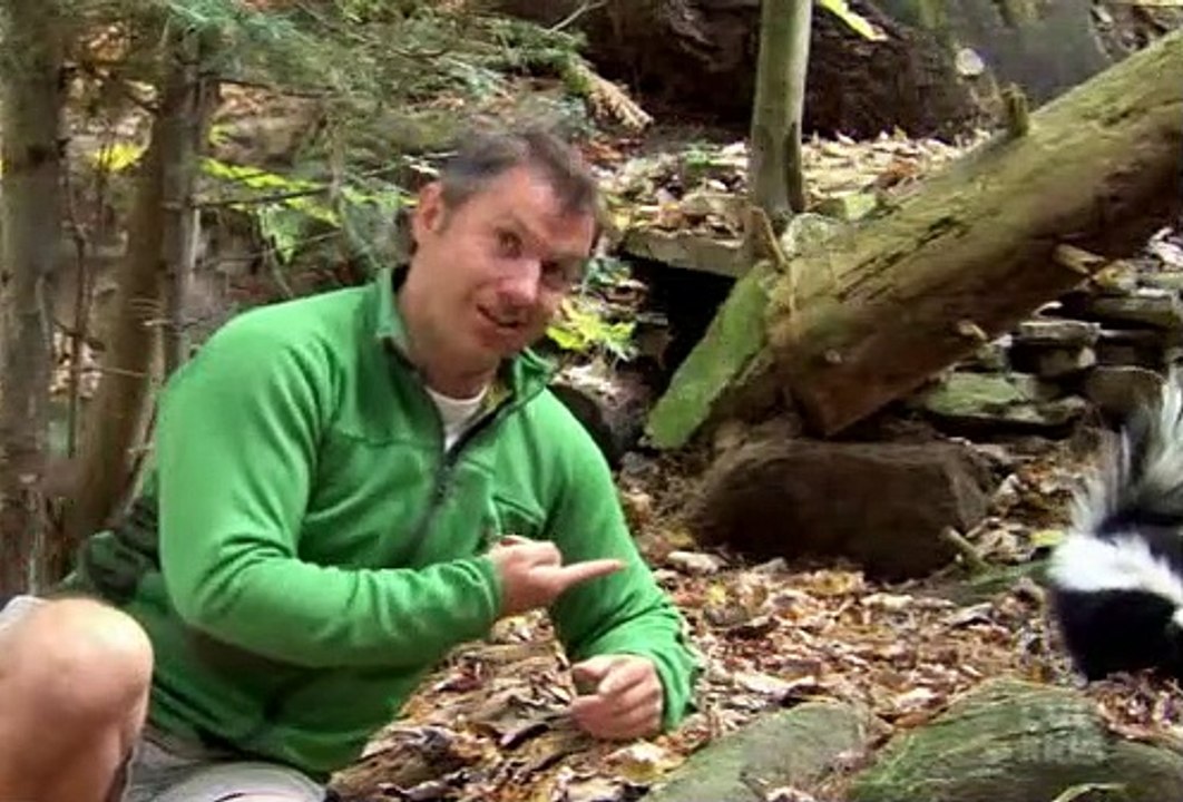 Wild Kratts - The Food Chain Game - video Dailymotion