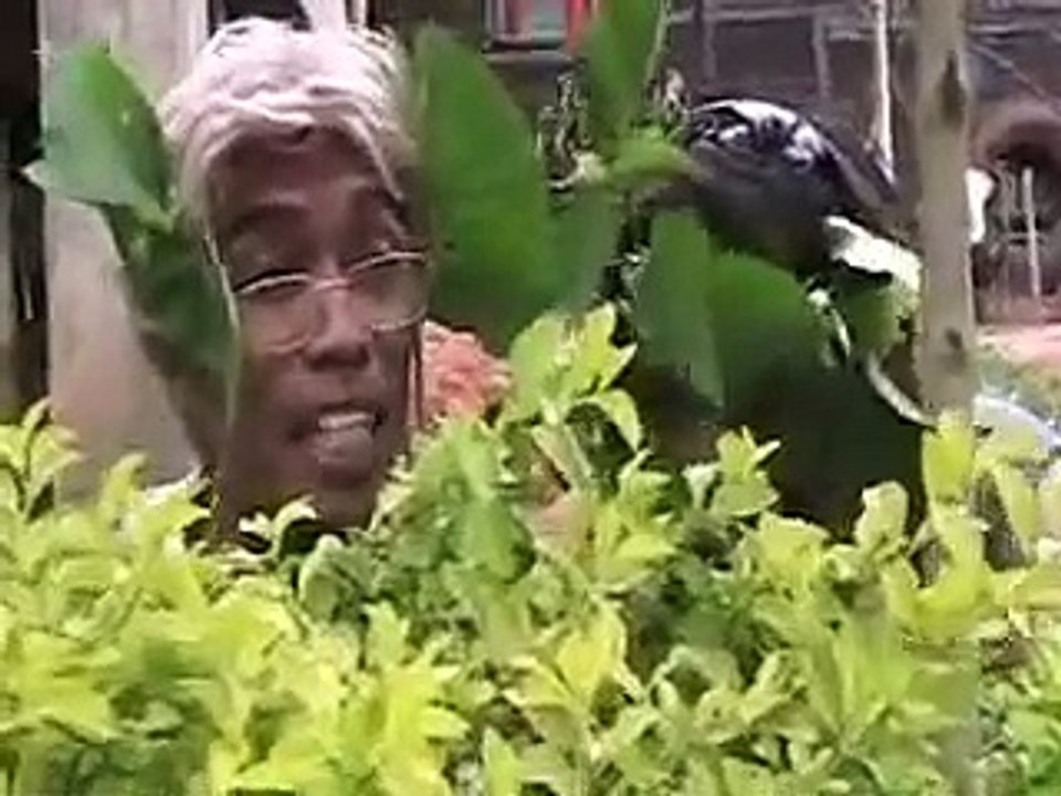 Tata Badong Ken Kuarog 4 - video Dailymotion