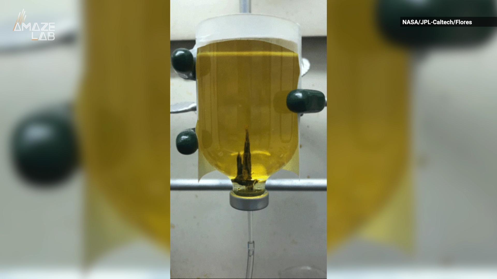 Nasa Study Reproduces Origins Of Life On Ocean Floor