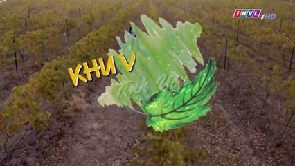 Phim của Rose Doan - Dailymotion