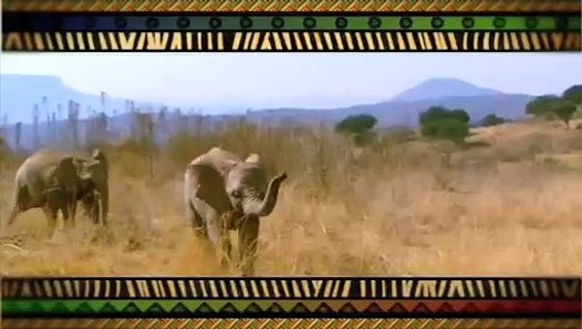 Elephant Tales Movie (2006) - video dailymotion