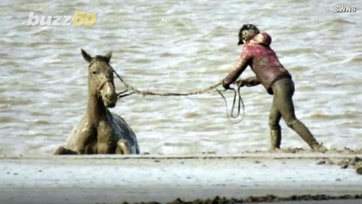 Muddy Mayhem! Multiple Rescue Teams Free Horse And Rider Trapped In Mud ...