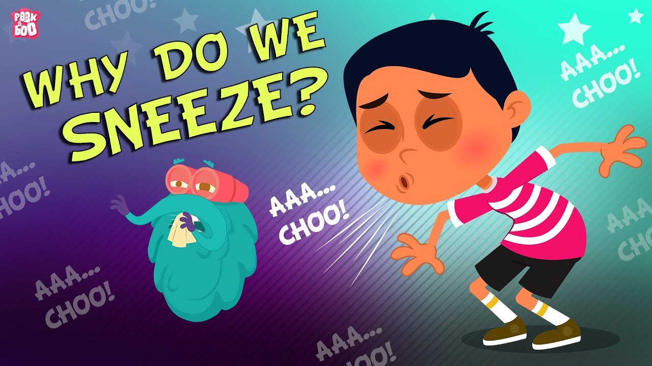 Why Do We Sneeze? The Dr. Binocs Show | Best Learning Videos For Kids ...