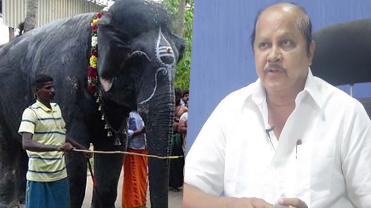 Dmk Mla Selvam: திமுக எம்.எல்.ஏ கு.க.செல்வத்துக்கு திடீர் நெஞ்சுவலி ...