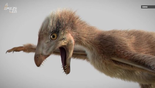 This New Dinosaur Looked Like A Massive, Terrifying Chicken - video ...