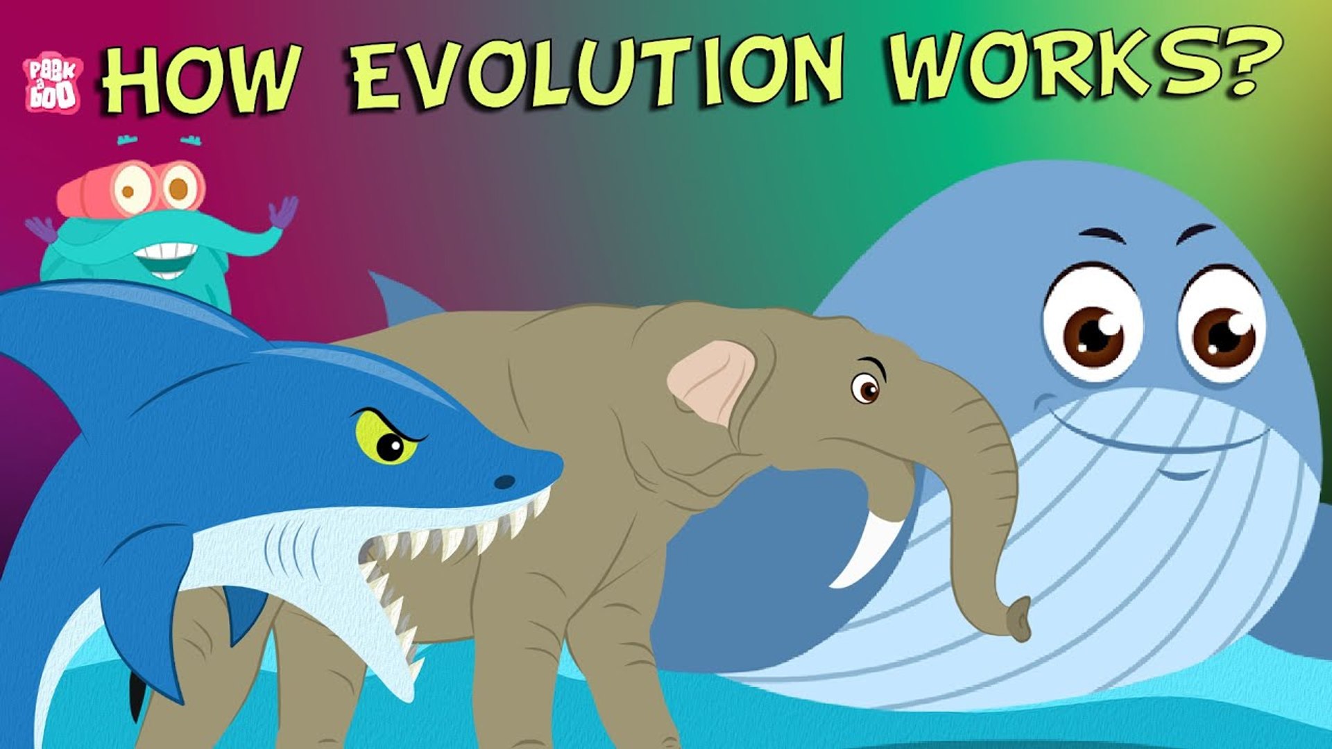 Evolution Of Animals For Kids