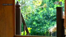 Love Destiny 1-40 by Dalila Calderon - Dailymotion