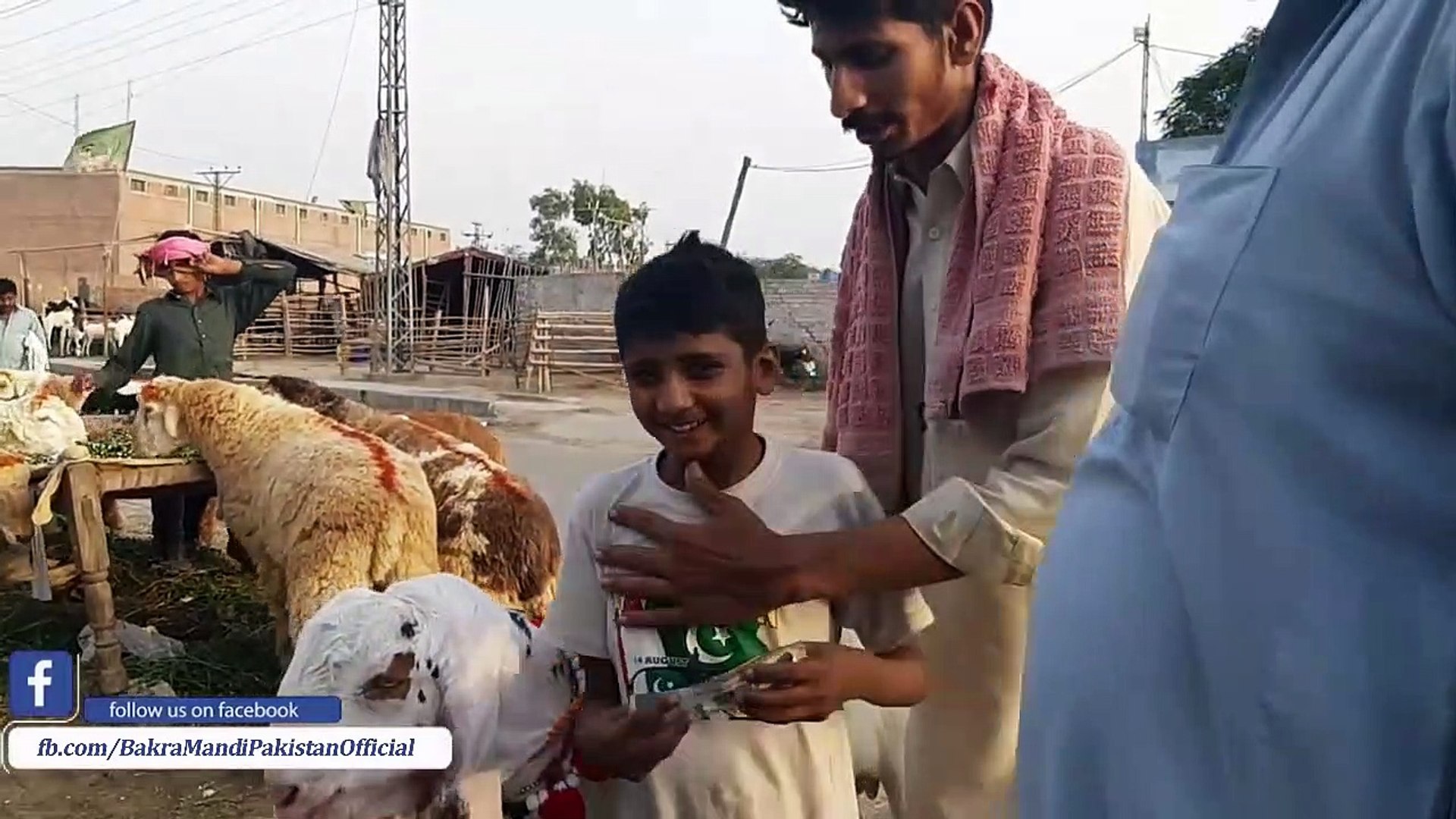 Qurbani Ka Bakra Sale