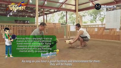 Tukaan Pitgames videos - Dailymotion